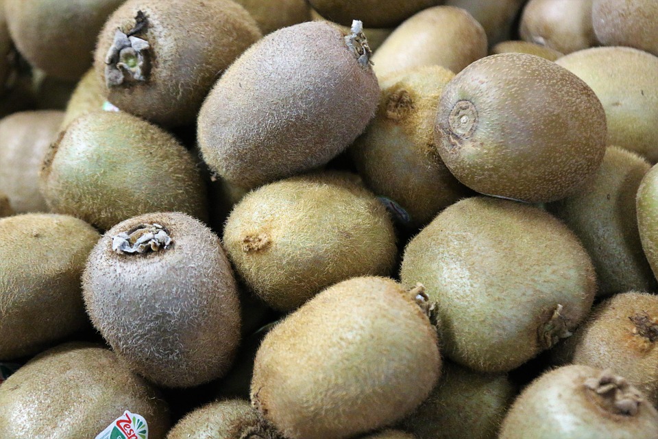 Kiwi Fruit Fresh - Free photo on Pixabay