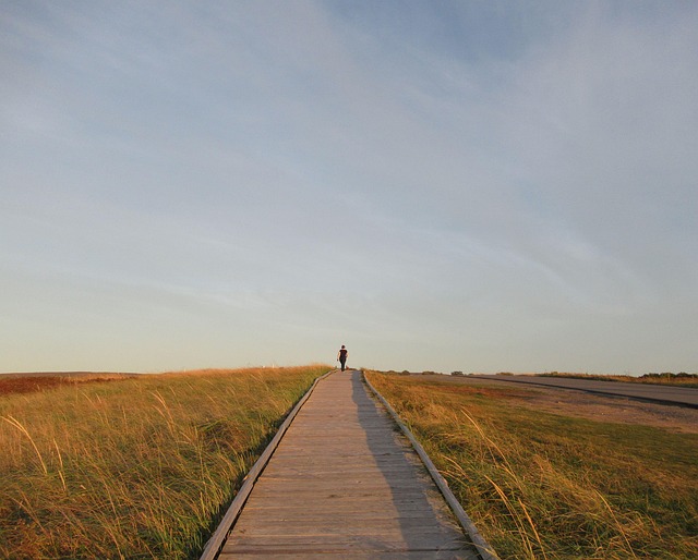 Narrow Path Walk - Free photo on Pixabay - Pixabay