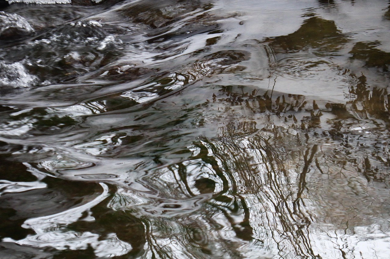 River Water Reflection - Free photo on Pixabay - Pixabay