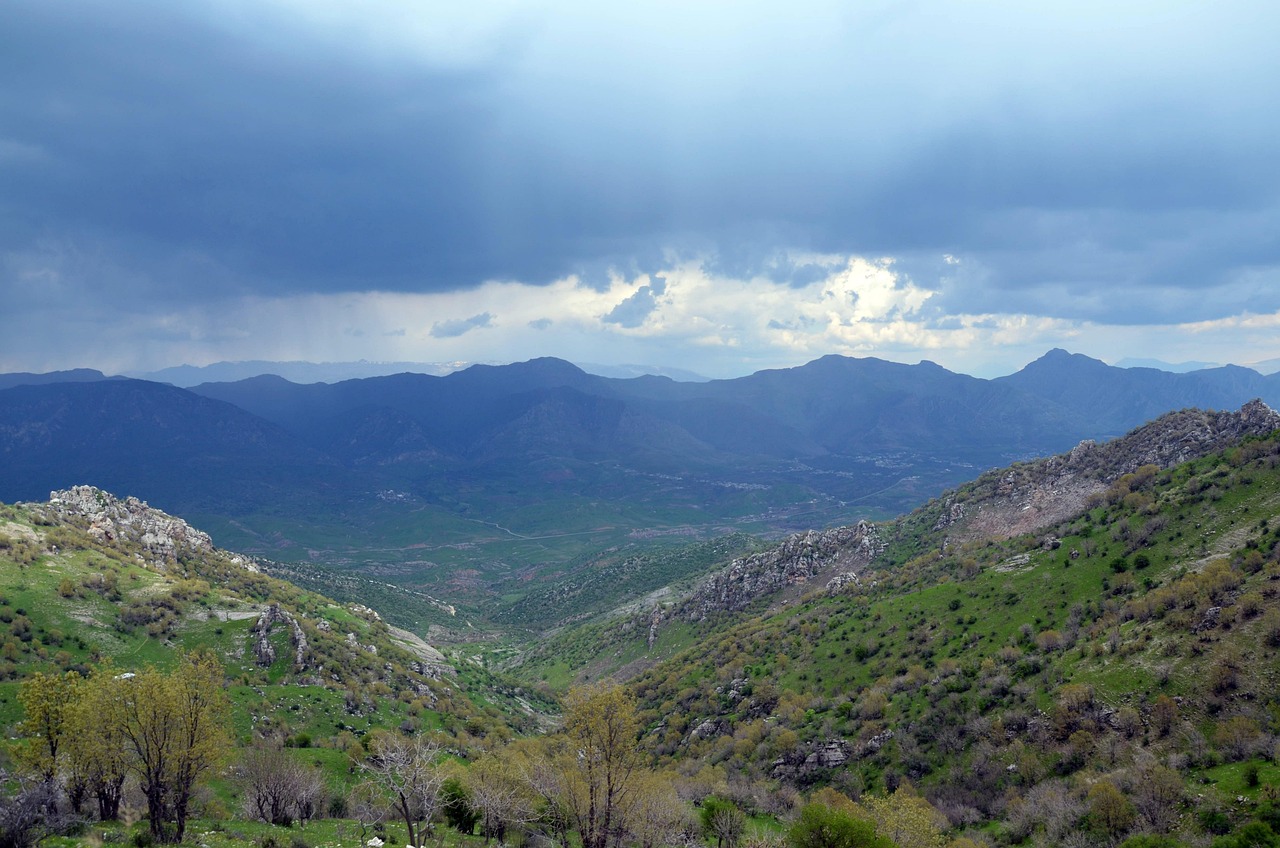 Más de 5 imágenes gratis de Raad y Raad Akrawe - Pixabay