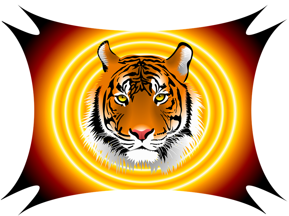 Beast Tiger - Free image on Pixabay