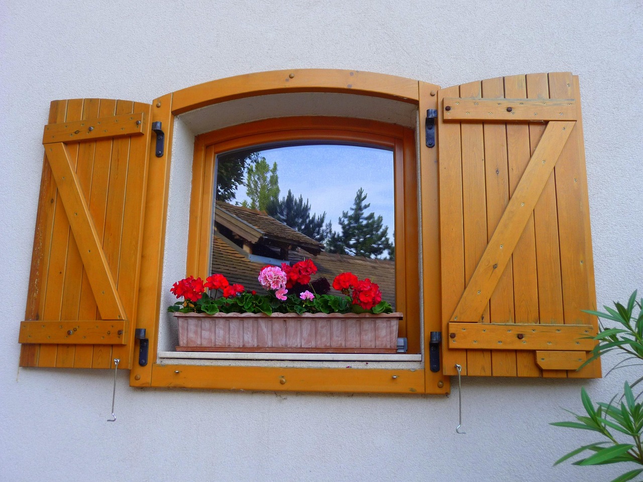 Window Trees Flowers - Free photo on Pixabay - Pixabay