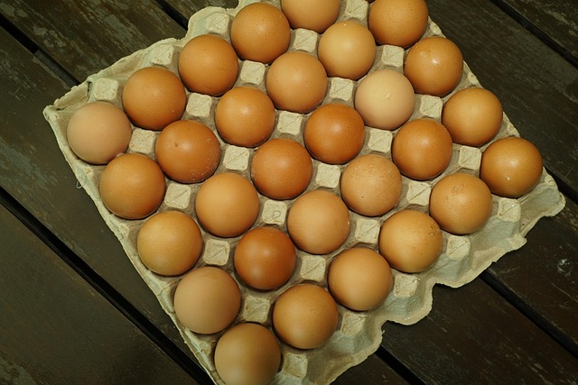 Eggs Egg Shells Tray - Free photo on Pixabay