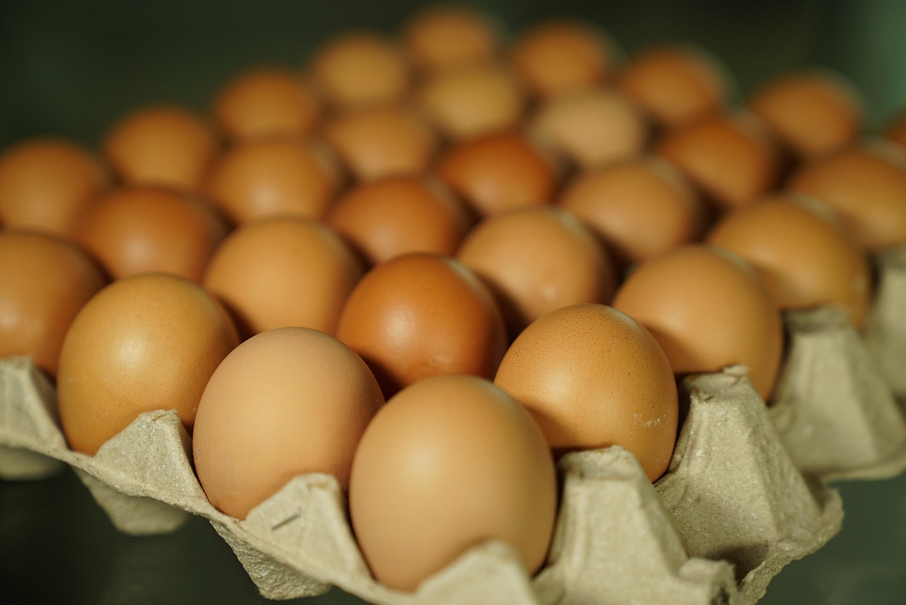 10,000+ Free Egg Tray & Egg Images - Pixabay