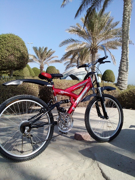 Bike Bicycle Cycling - Free photo on Pixabay - Pixabay