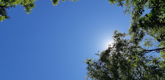Samsung Sm-A530w - Cameras on Pixabay