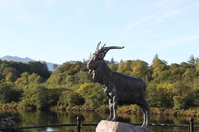 King Puck Killorglin Goat - Free photo on Pixabay - Pixabay