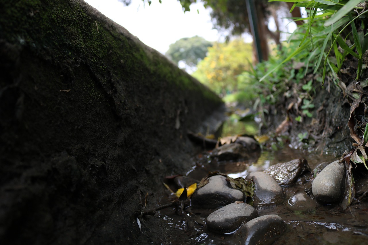 Naturaleza Rocas Río - Foto gratis en Pixabay - Pixabay