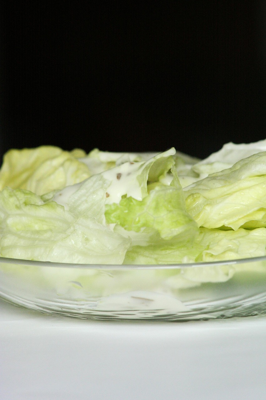 Lechuga Iceberg Ensalada Hojas De - Foto gratis en Pixabay - Pixabay