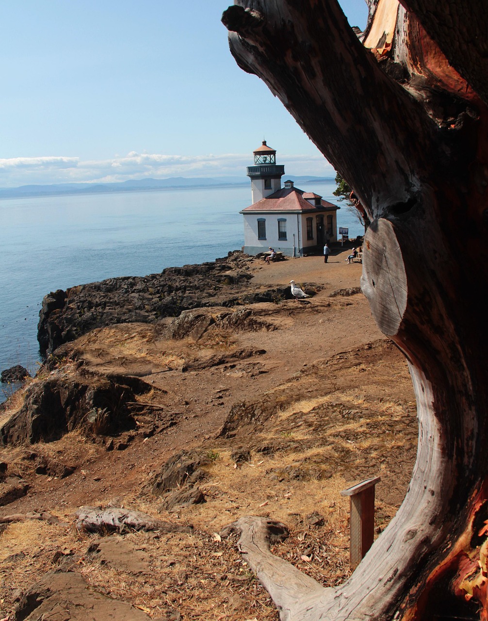 Lighthouse Coast Sea - Free photo on Pixabay - Pixabay