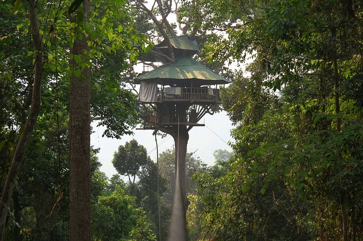 100+ Free Treehouse & Nature Photos - Pixabay