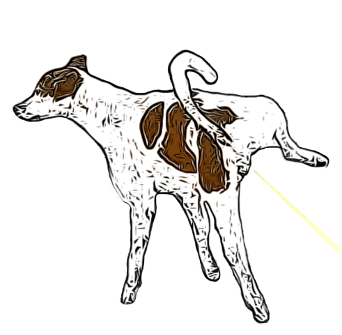 10+ Free Dog Peeing & Pee Images - Pixabay