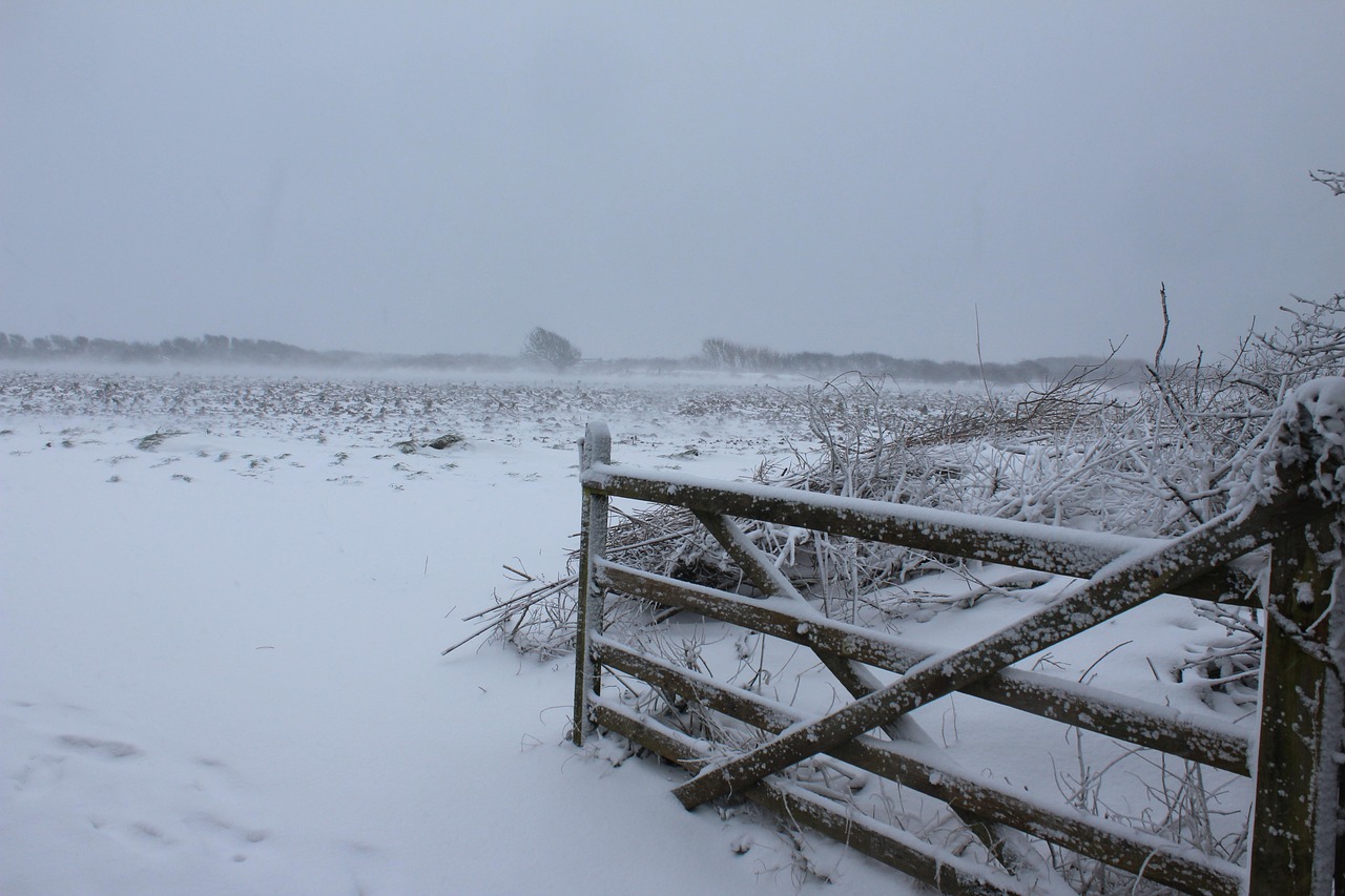 Snow Gate - Free photo on Pixabay - Pixabay