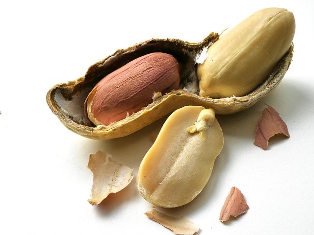 Peanuts Background Nutrition - Free photo on Pixabay - Pixabay