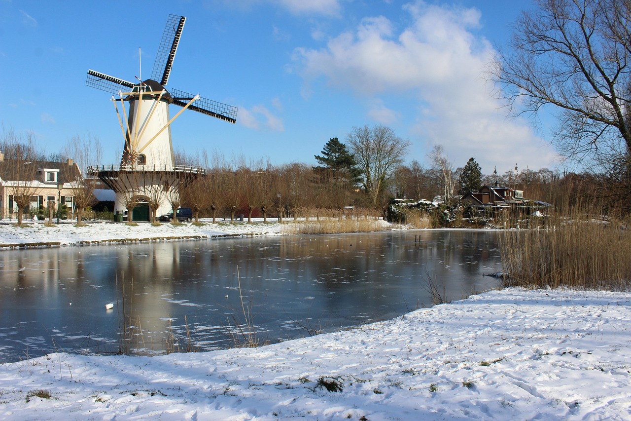 Snow Rotterdam Winter - Free photo on Pixabay - Pixabay