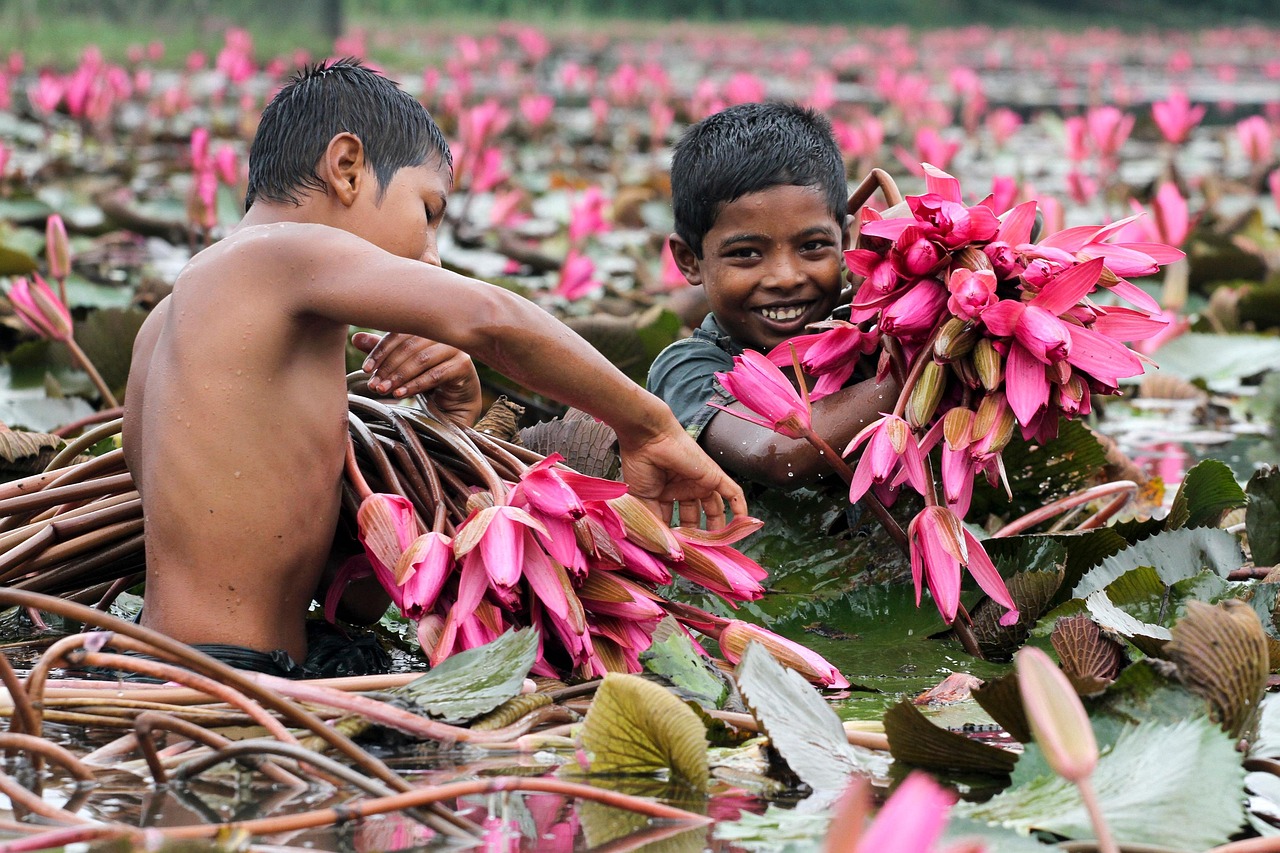 300,000+ Free Beautiful Bangladesh & Bangladesh Images - Pixabay