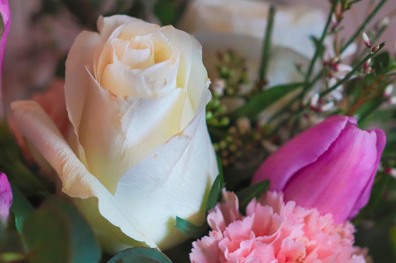 Fleurs Rose Blanche - Photo gratuite sur Pixabay - Pixabay