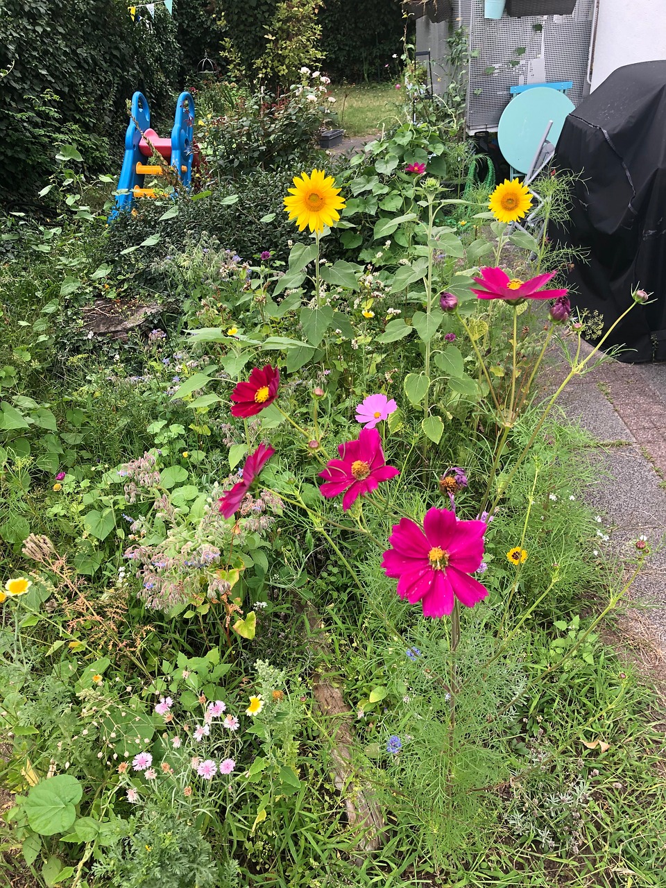 Garten Blumen - Kostenloses Foto auf Pixabay - Pixabay