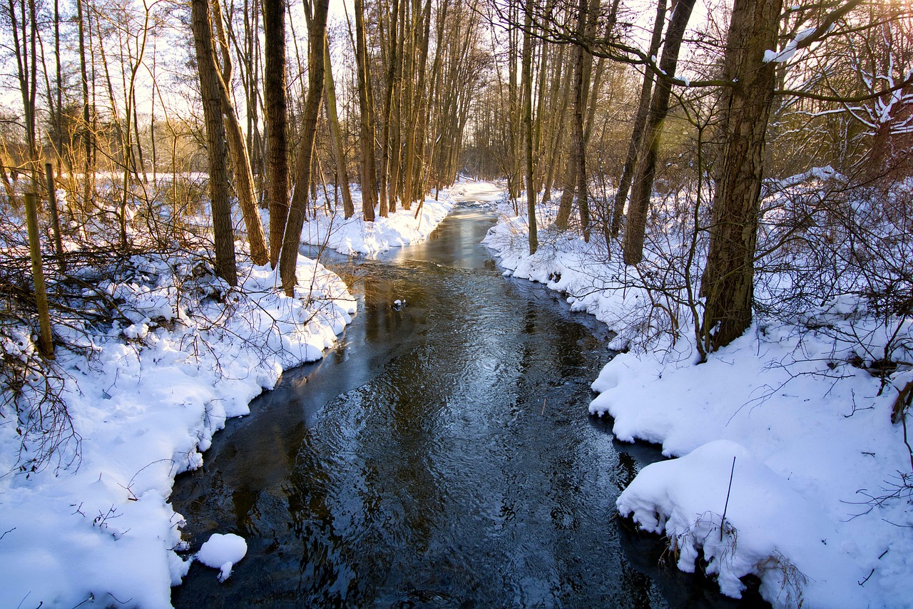 Ostwestfalen Winter Schnee - Kostenloses Foto auf Pixabay