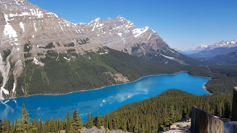 Lac Peyto Parc National Banff - Photo gratuite sur Pixabay