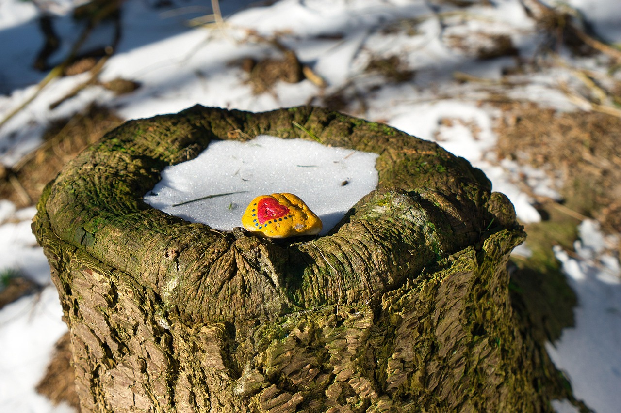 1+ Free Bog Pebbles & Stone Images - Pixabay
