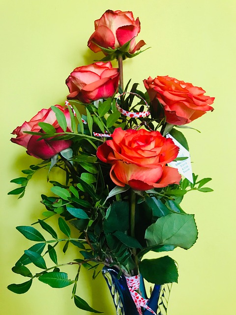 Rosas Rojo Bloom - Foto gratis en Pixabay - Pixabay