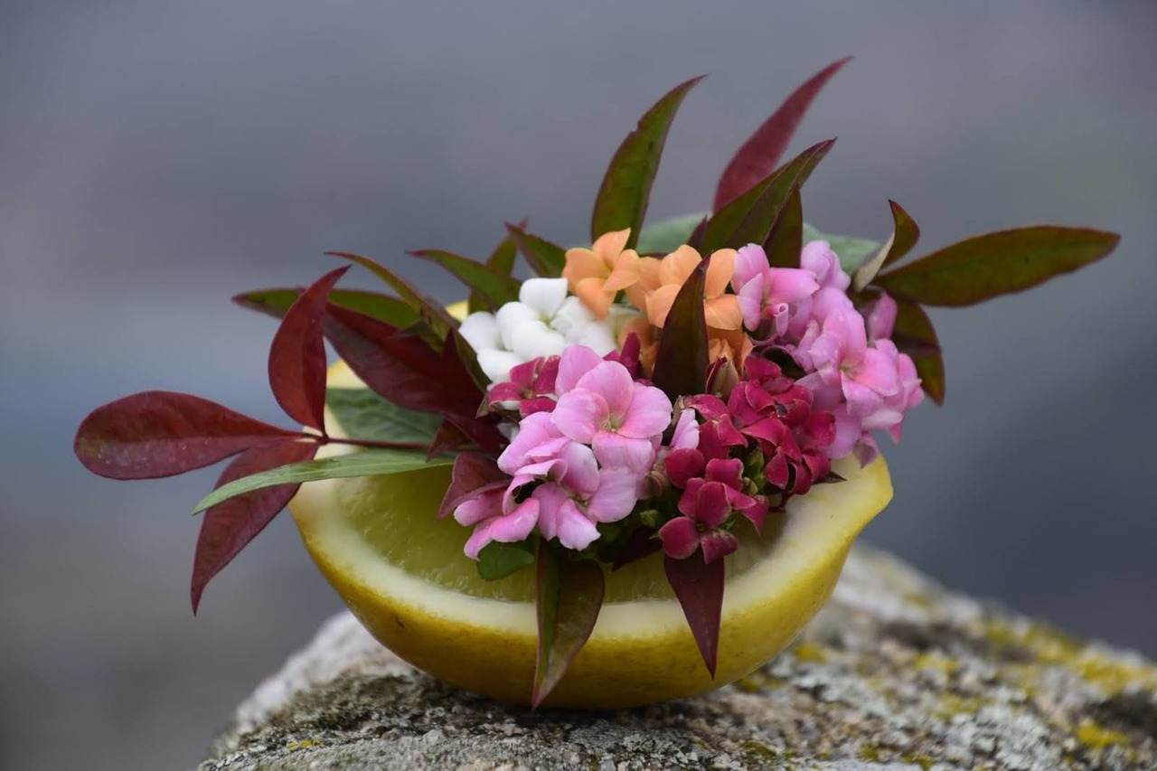 Más de 5 fotos de Mini Floral Centerpiece y Fruta gratis - Pixabay
