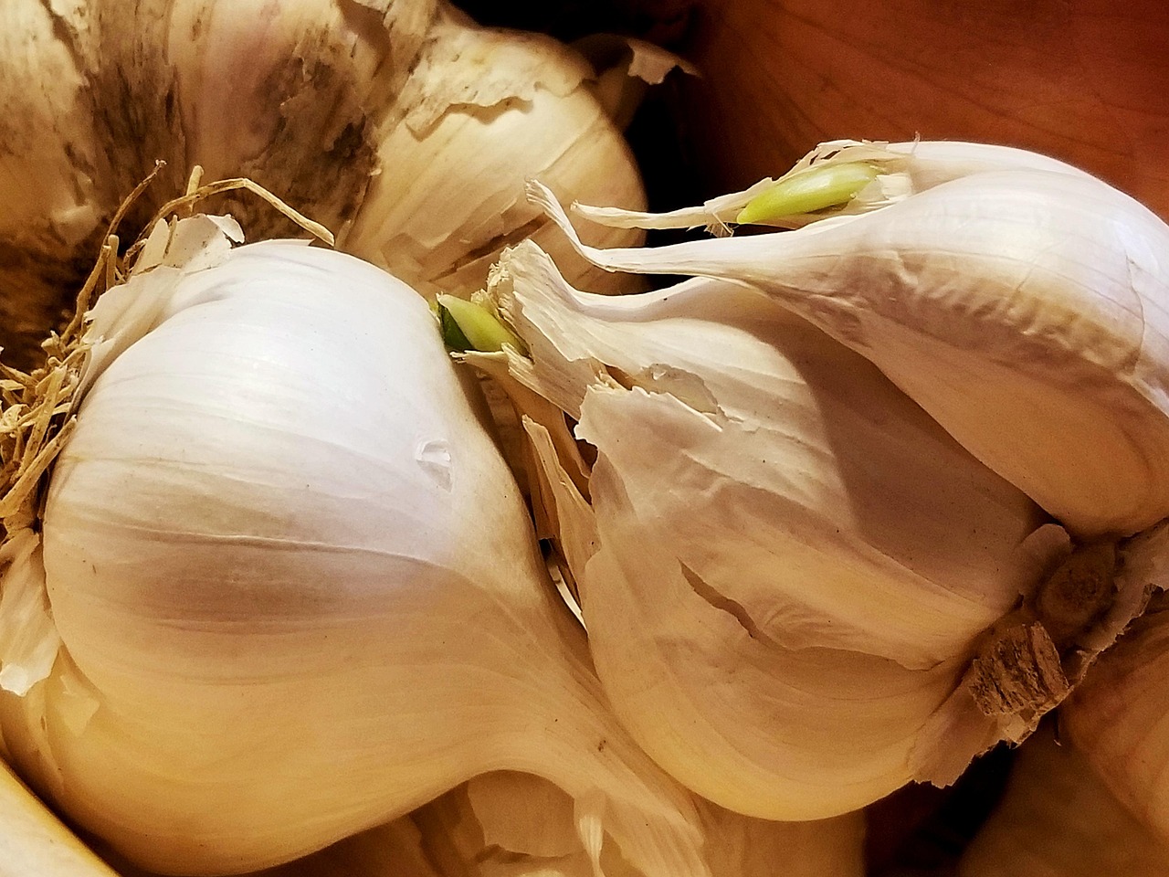 4,000+ Free Garlic Sprout & Garlic Images - Pixabay