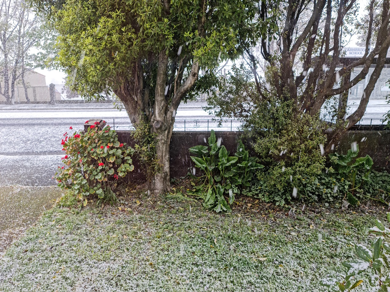 Snow Yard Winter - Free photo on Pixabay - Pixabay