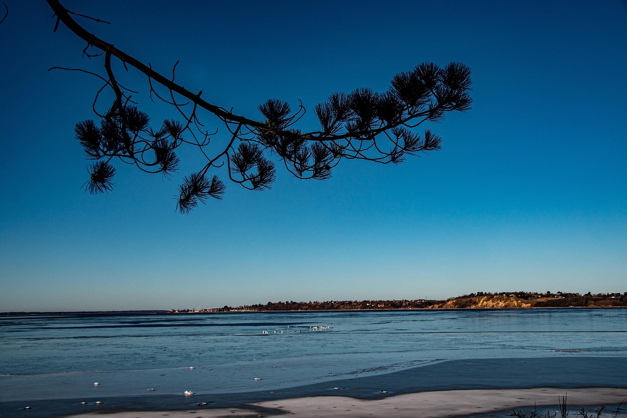 Scenario Naturale Gelo Ghiaccio - Foto gratis su Pixabay