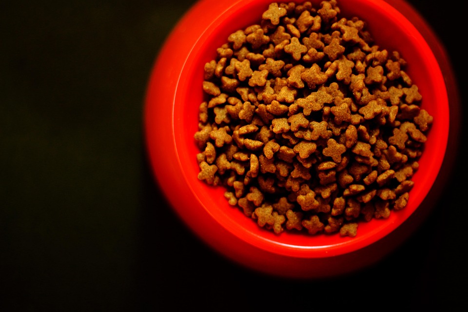 Pet Food Free Photo On Pixabay