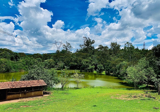 Brazil Lake Field - Free photo on Pixabay