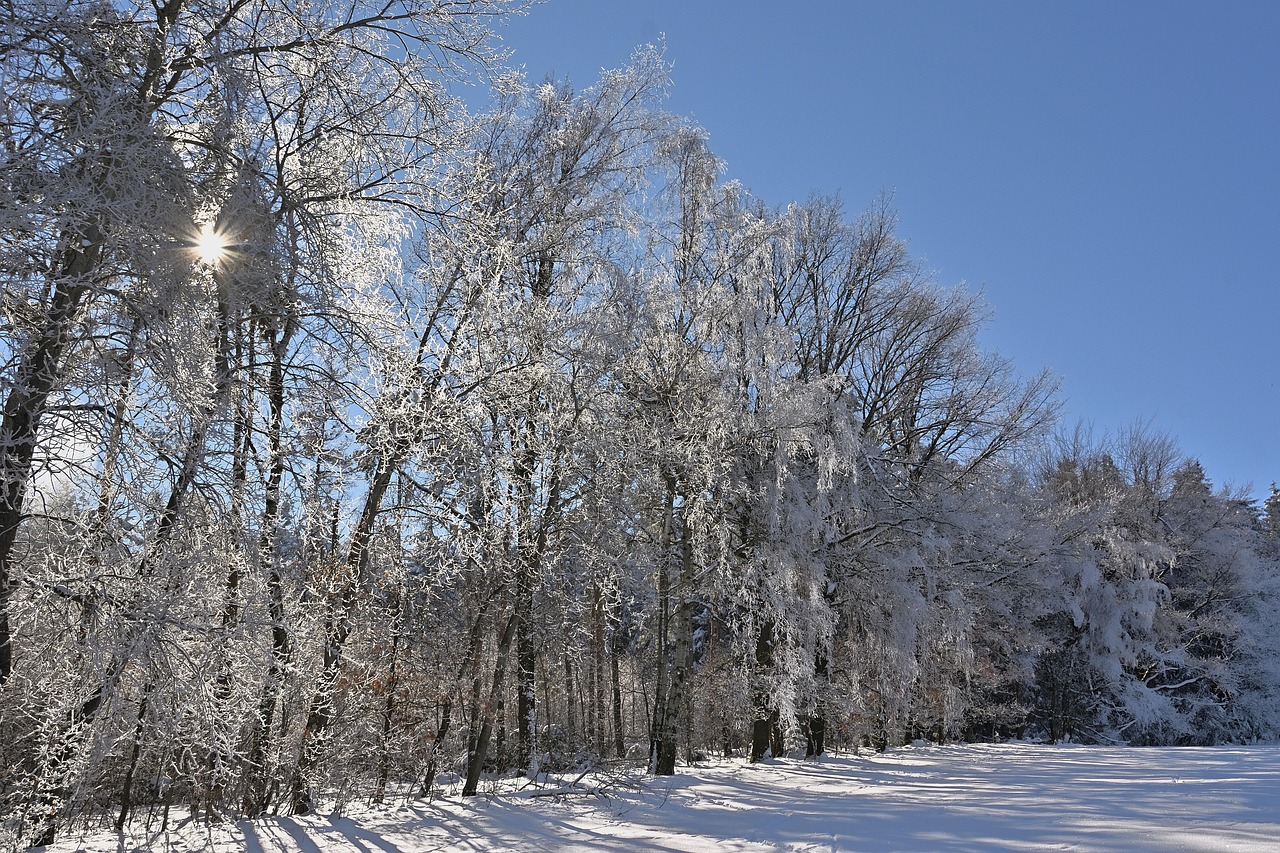 Winterlandschaft Kalt Sonne - Kostenloses Foto auf Pixabay