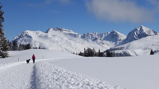 Snow Landscape Winter Hiking Trail - Free photo on Pixabay - Pixabay