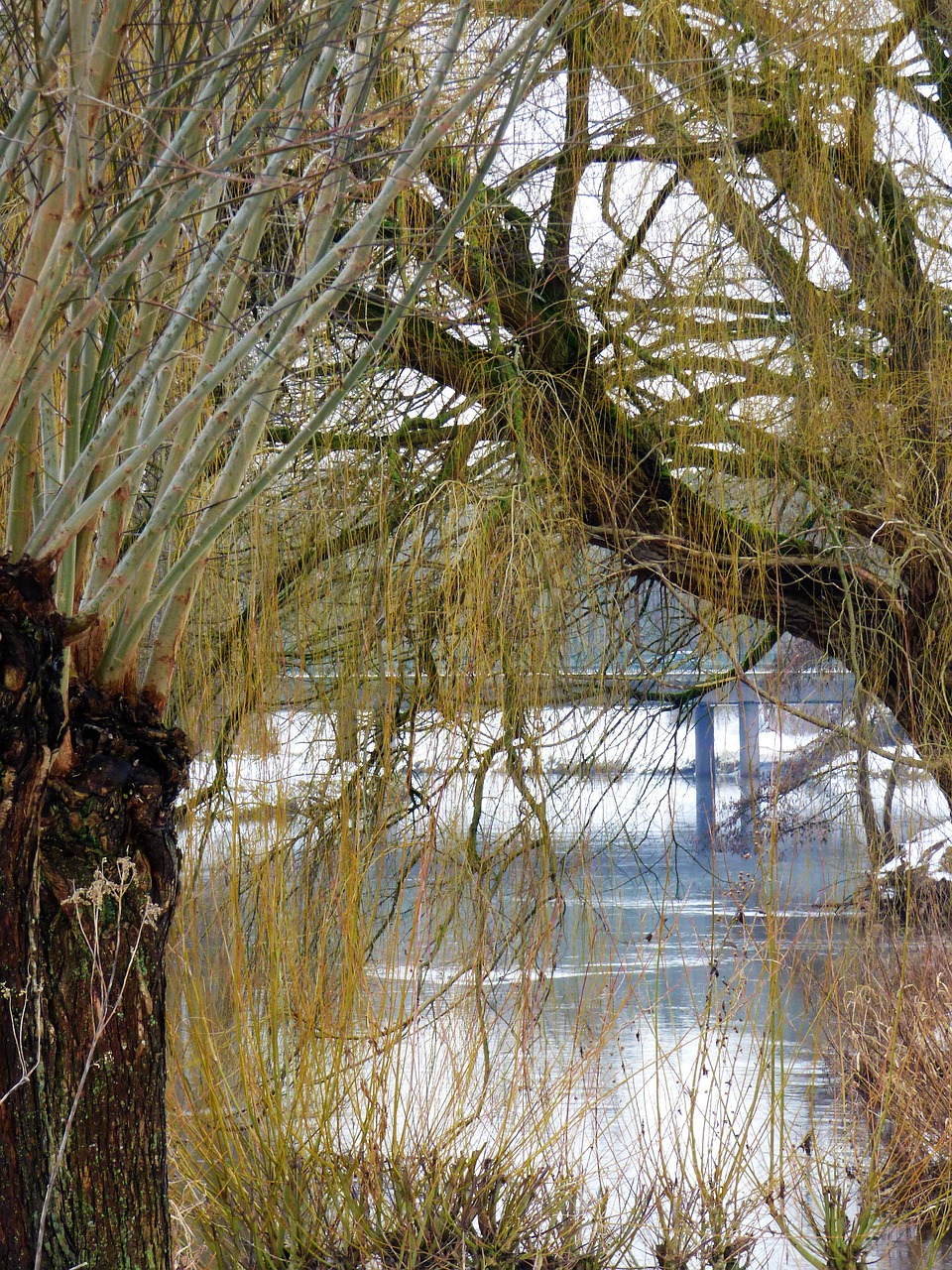 Winter Fluss Schnee - Kostenloses Foto auf Pixabay - Pixabay