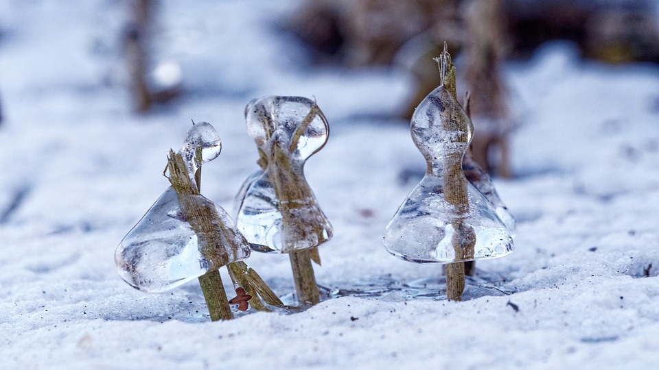 Ice Cream Winter Frozen - Free photo on Pixabay
