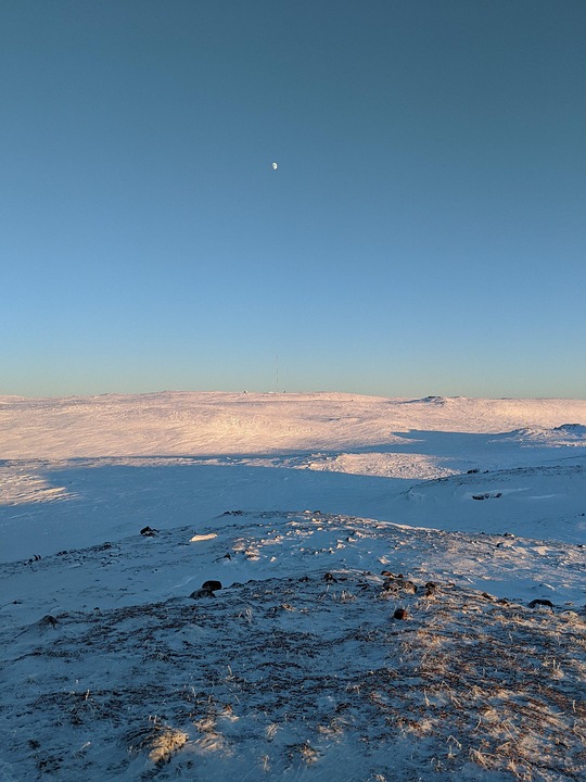 Arctic Landscape Barren - Free photo on Pixabay