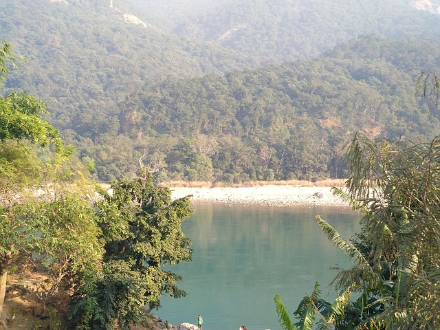 Karnali Rio - Foto gratuita no Pixabay - Pixabay