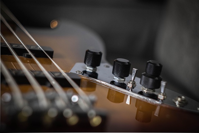 Bass Instrument Strings - Free photo on Pixabay - Pixabay