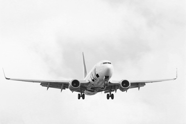 10+ darmowych obrazów z kategorii Avion i Samolot - Pixabay