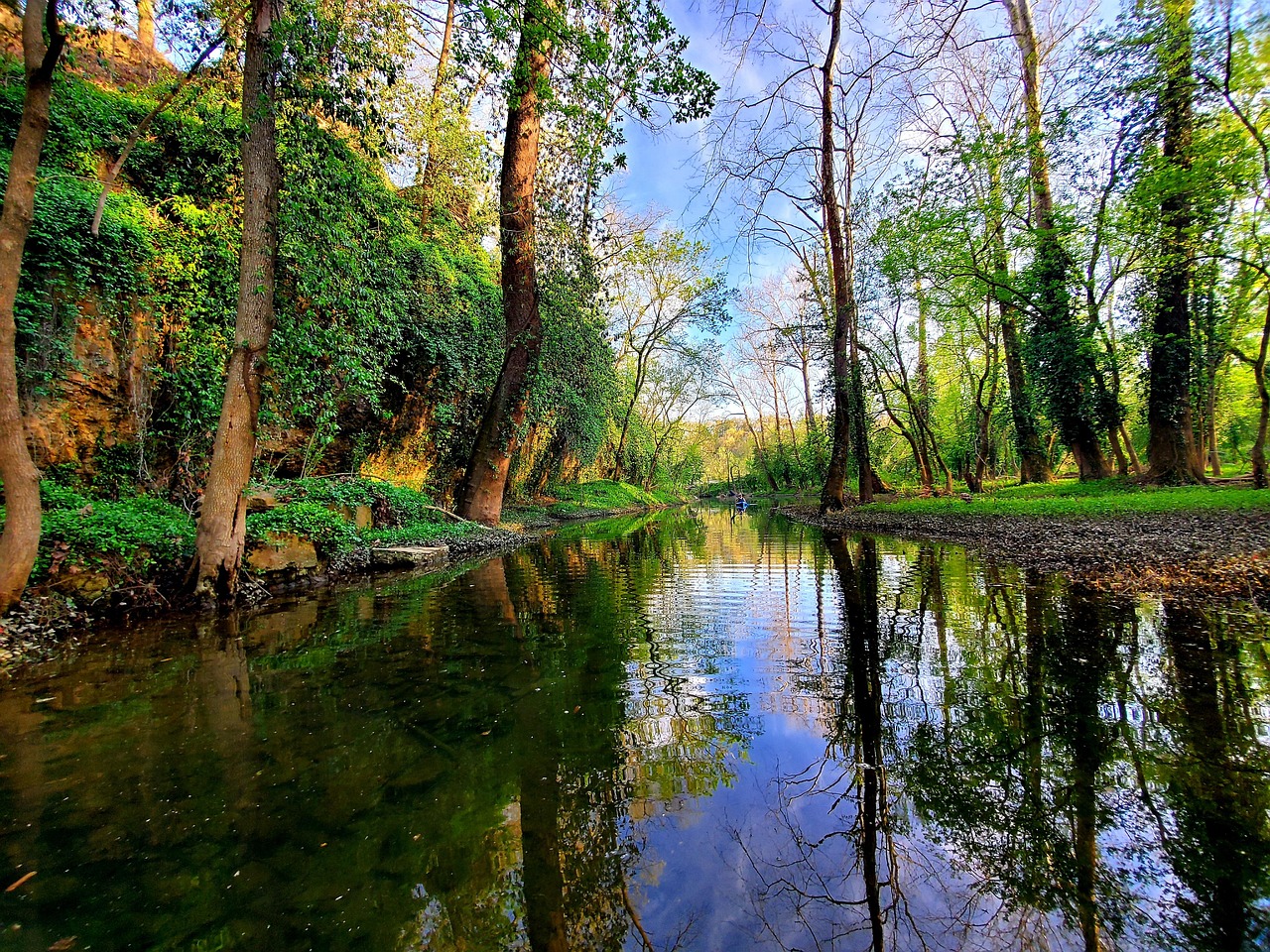 Ruisseau Des Arbres - Photo gratuite sur Pixabay - Pixabay