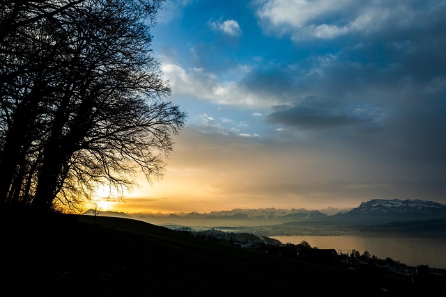 Nature Tomorrow Mood - Free photo on Pixabay - Pixabay