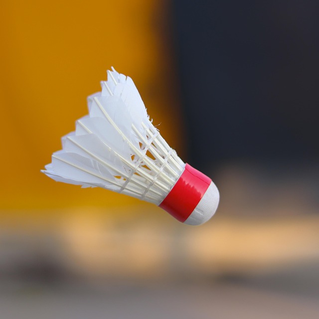 50,000+ Free Badminton Background & Badminton Images - Pixabay