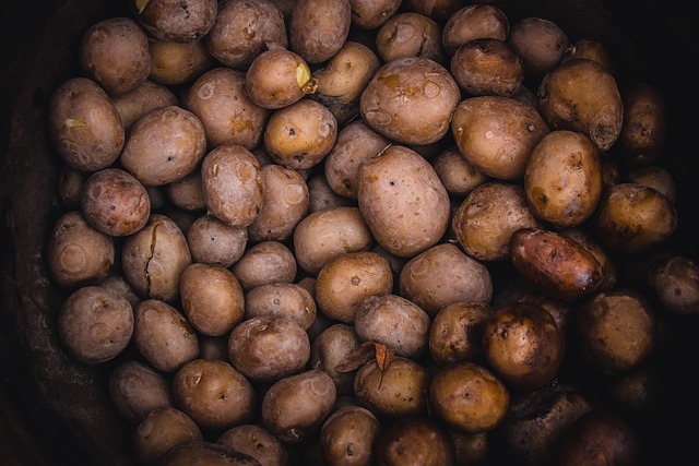 Boiled Potato - Free photo on Pixabay - Pixabay
