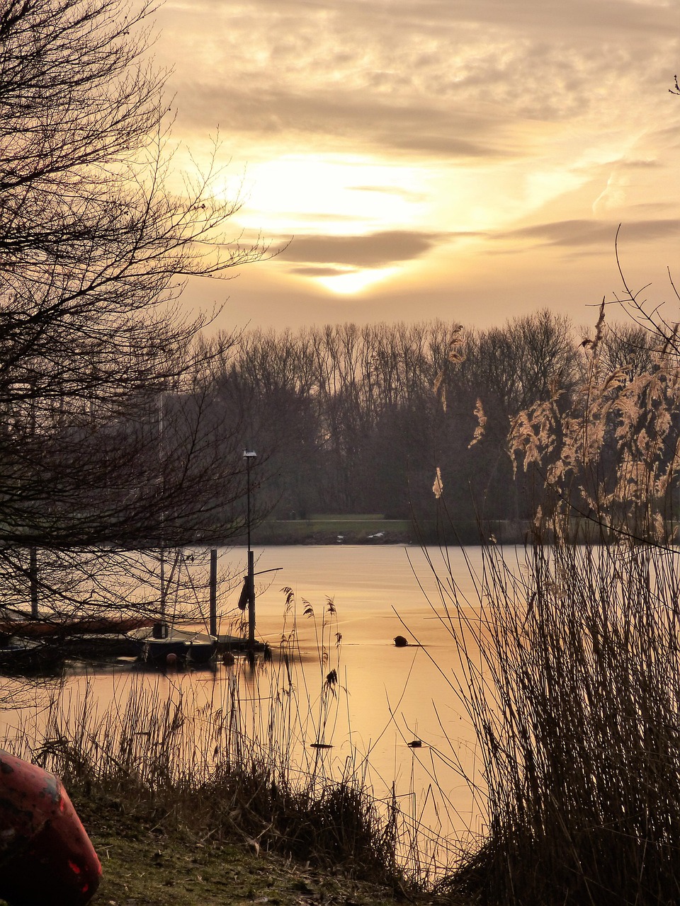 Sunlight Lake Water - Free photo on Pixabay - Pixabay