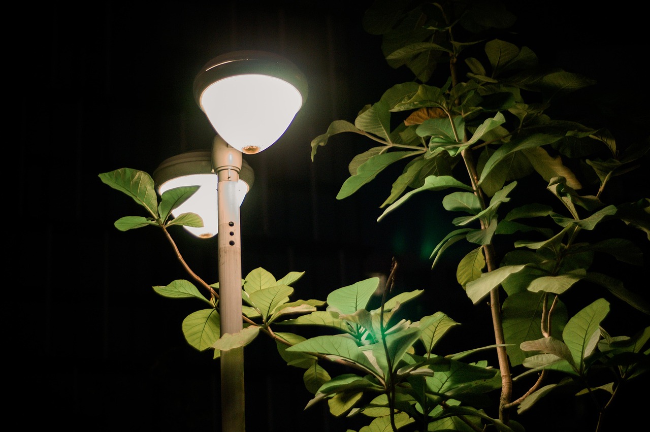 Stadt Nacht Licht - Kostenloses Foto auf Pixabay - Pixabay