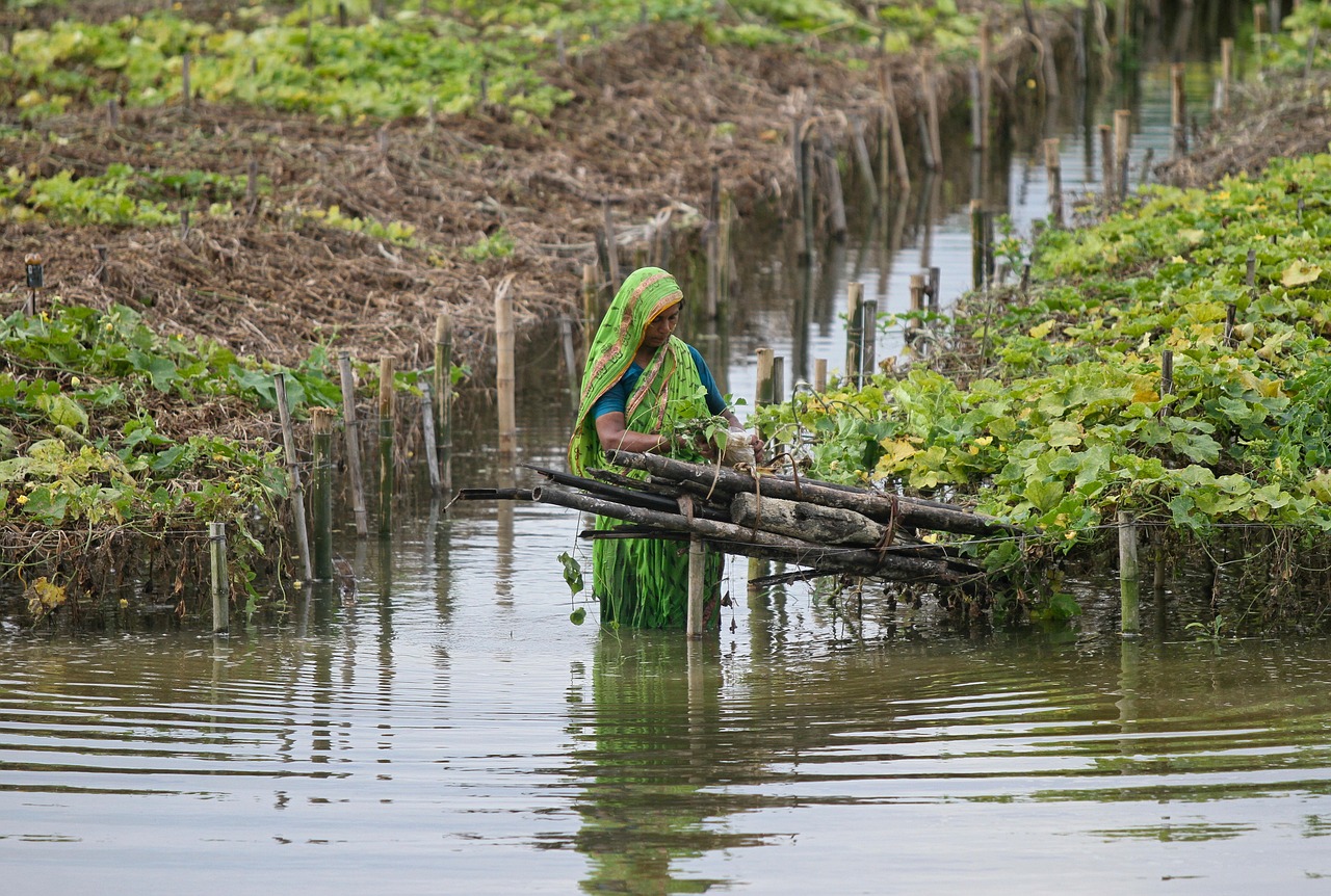 60+ Free Bangladesh Village & Bangladesh Images - Pixabay