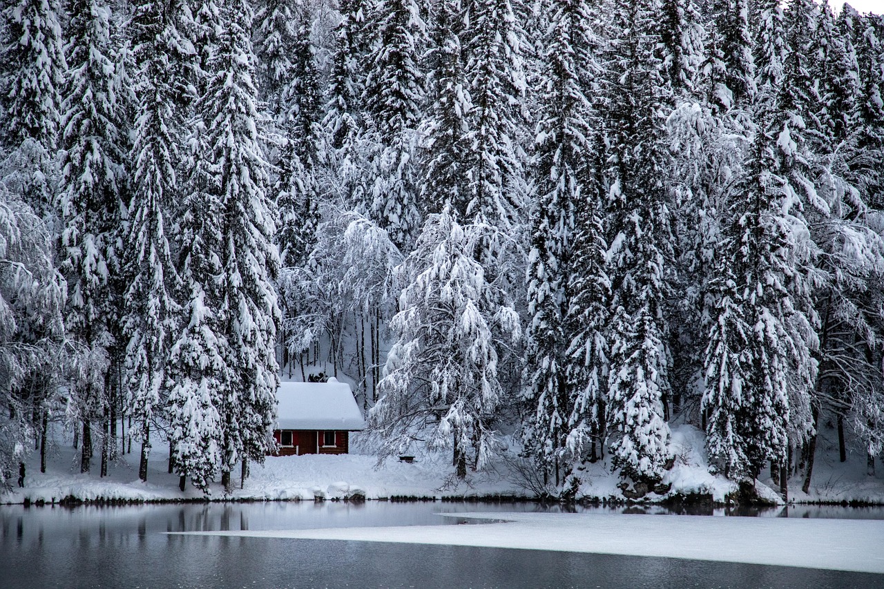 Conifers Lake House - Free photo on Pixabay