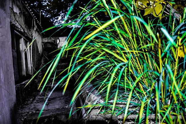 Grass House Building - Free photo on Pixabay - Pixabay