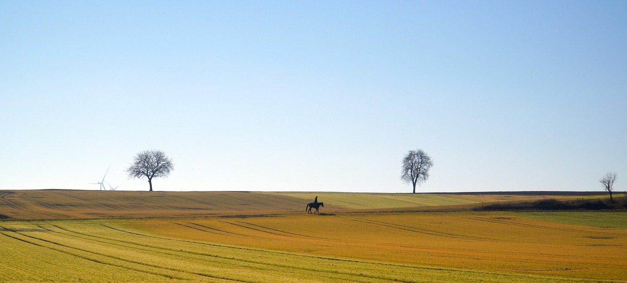 Landscape Trees Field - Free photo on Pixabay